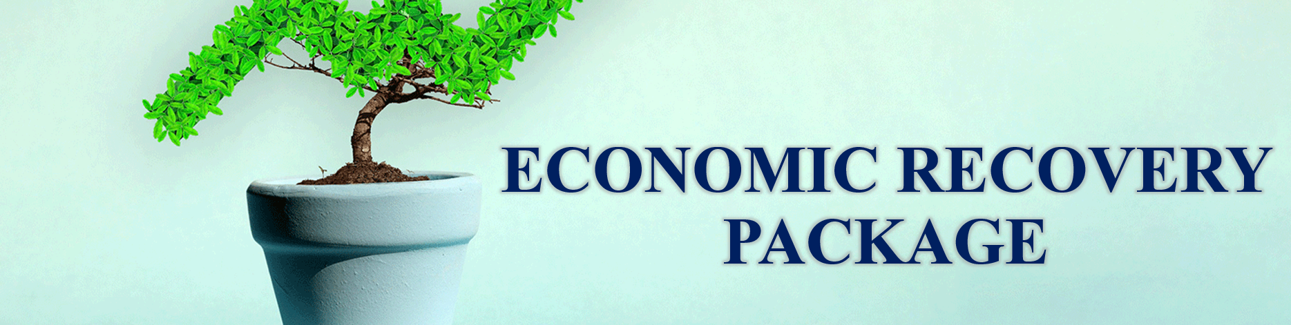 ECONOMIC RECOVERY PACKAGE - Kosovo Credit Guarantee Fund