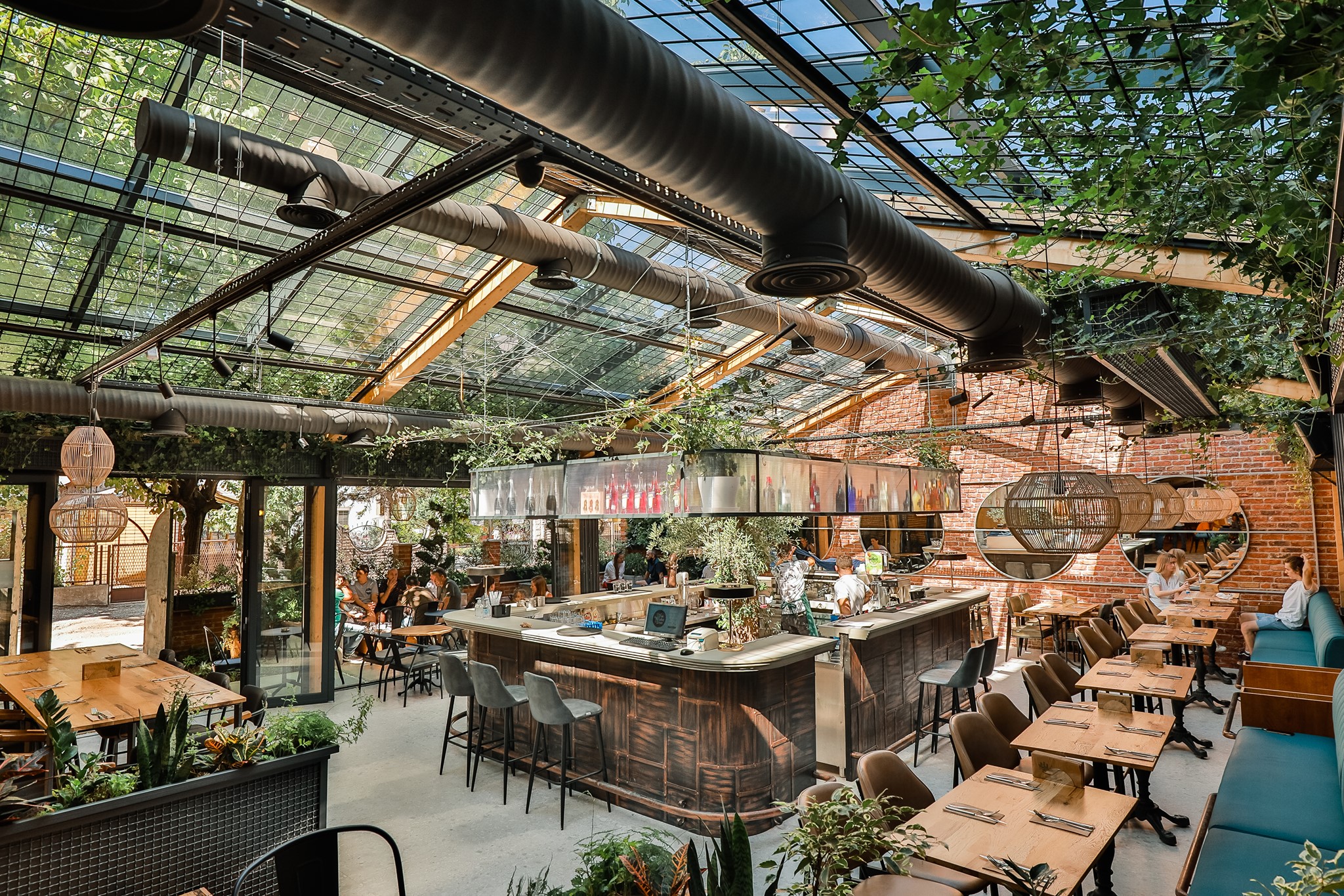 THE WHITE TREE - Një start up në qytezën Pejton - Kosovo Credit ...